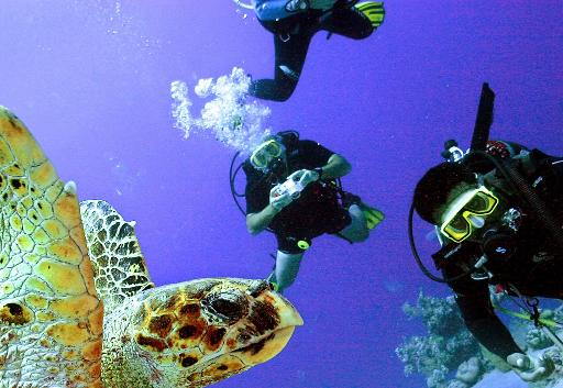 Egyptian breaks record for world's deepest scuba dive