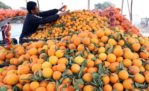 EU suspends S.Africa citrus fruit imports