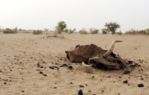 Famine stalks the Sahel