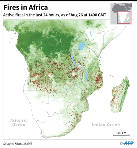Greenpeace urges more action on central African forest fires