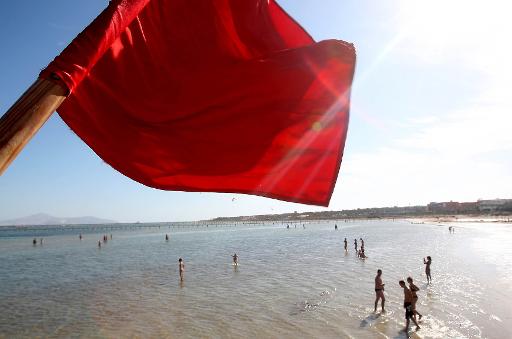 German tourist killed in Egypt shark attack