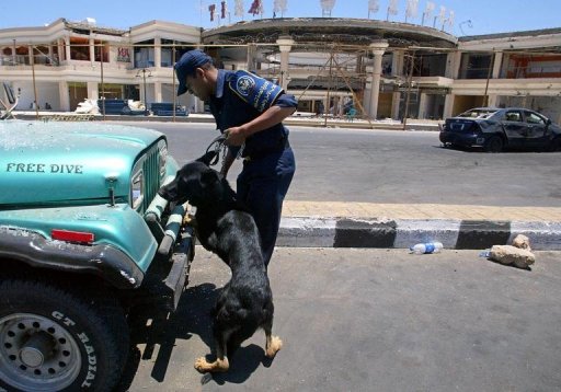 Gunmen kill two policemen in Egypt's Sinai