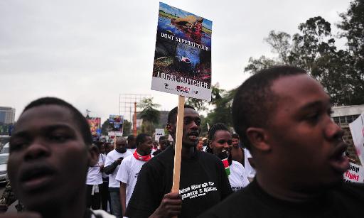 Ivory mafia: how criminal gangs are killing Africa's elephants