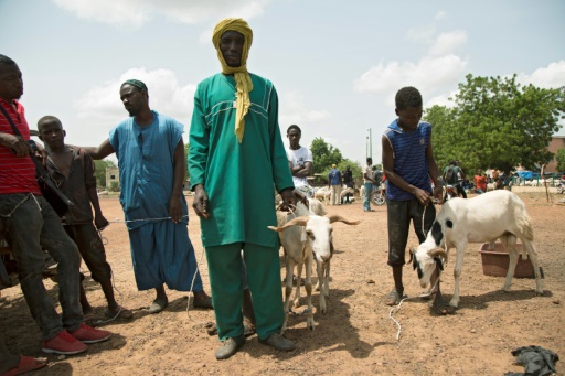 In Sahel, conflict threatens trade in Eid sheep