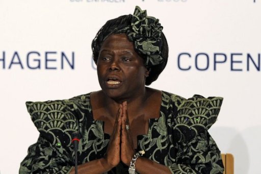 Kenya to give Nobel laureate Maathai state funeral Kenya to give Nobel laureate Maathai state funeral