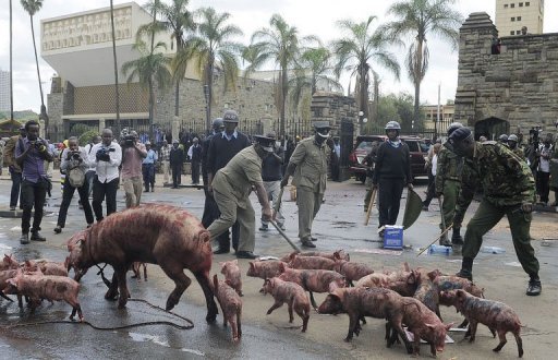 Kenyans stage 'greedy pig' protest against lawmakers
