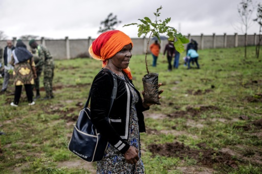Kenyans brave heavy rain to plant trees