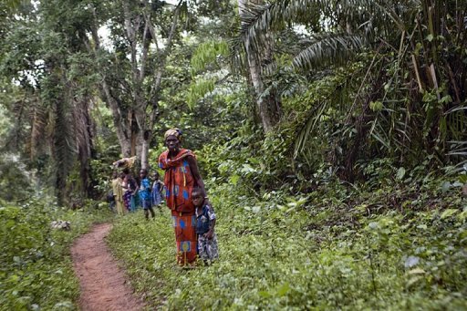 Liberia forests sold off in secret logging contracts: report