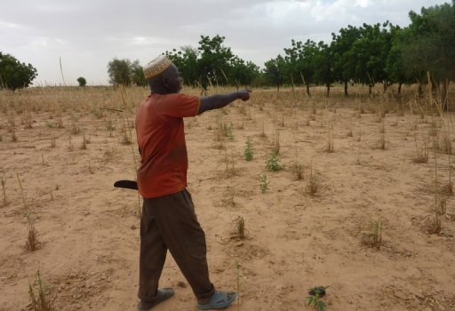 Libya fallout fans Sahel hunger pangs