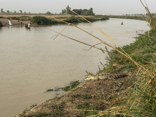 Nigeria fishing river reels from changing climate