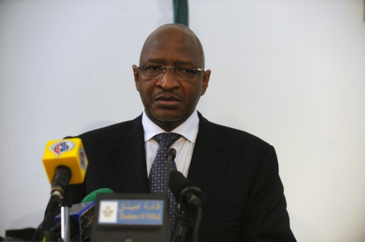 Mali president names new PM after surprise govt resignation