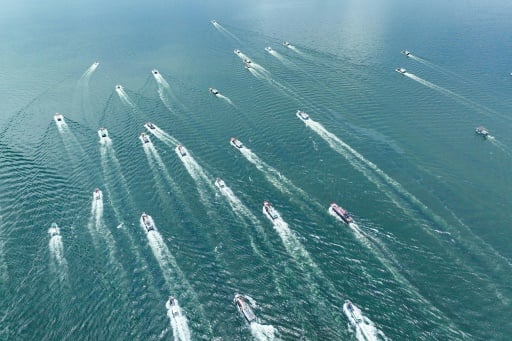 UN 'closer than ever' to high seas biodiversity treaty