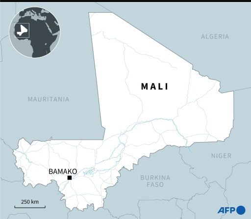 Mali junta comes under fire from PM's allies for first time