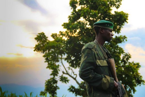 More DR Congo soldiers desert ranks: mutineers