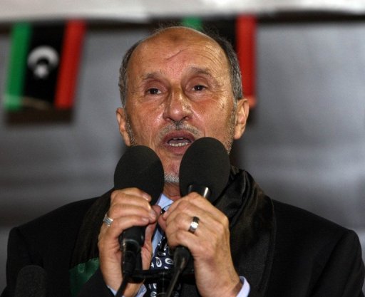 New Libya leaders pledge 'moderate' Islamic rule