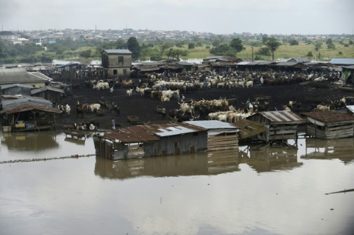 Niger flood death toll up to 42: UN