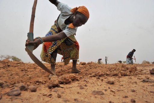 Niger villagers in bid to break cycle of famine
