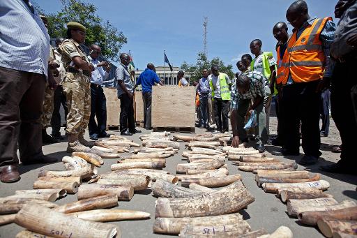 Rare Kenya arrest of soldier for ivory possession