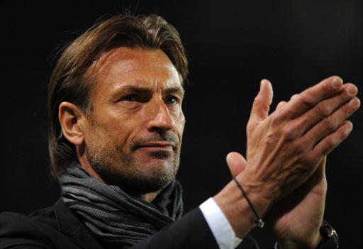 Renard becomes new Ivory Coast coach