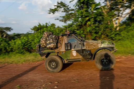 Seven die in Cameroon clash between army and C.Africa gunmen