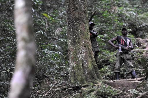 Seven Rwandan Hutu rebels killed in DR Congo fighting