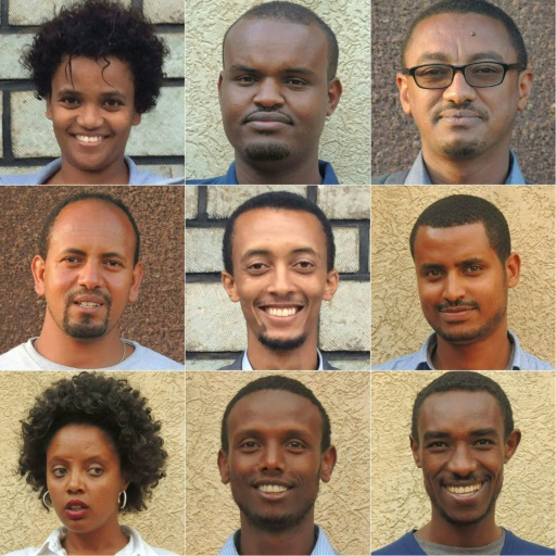 Ethiopia releases journalist, politician, drops blogger charges