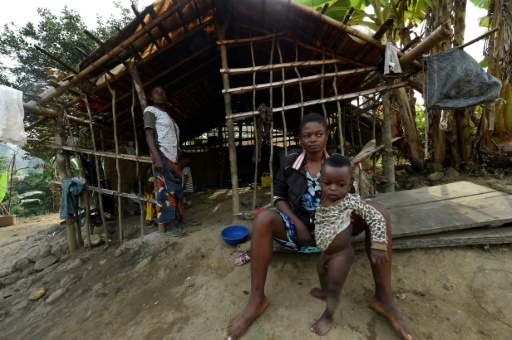 Cameroon's isolated anglophones face humanitarian crisis