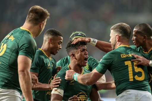 Springboks overcome Wiese red card to crush Italy