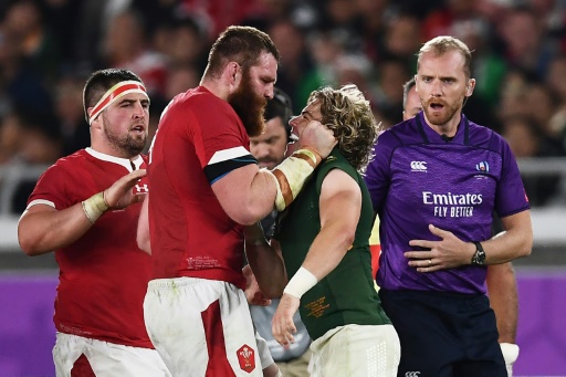 Springbok Rugby Scrum Halves