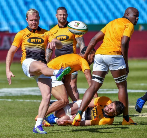All Blacks have no weaknesses, Springboks coach says