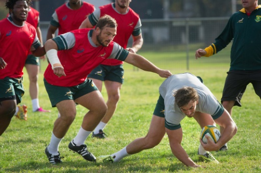 Springboks prop Redelinghuys to miss second Argentina Test