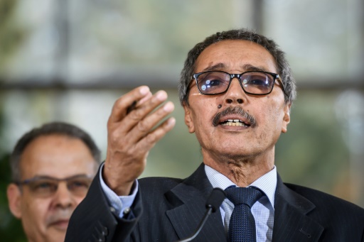 Southern Africa Leaders back Western Sahara At 'Historic' Talks