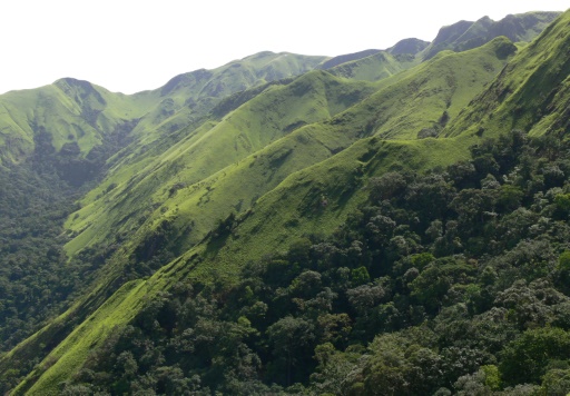 Nature Under Threat: The Battle to Protect Ghana’s Rich Biodiversity ...