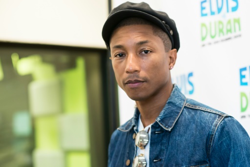 US singer Pharrell faces protest at S.African concert