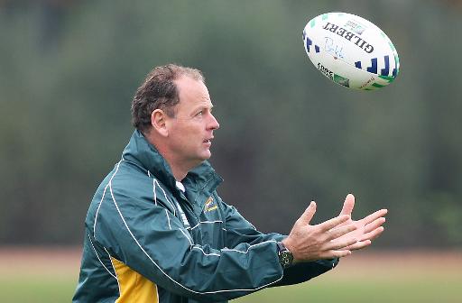 World Cup winner White quits as Sharks rugby coach