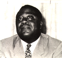 NPP’s Coming Was A Mistake-Gen Arnold Quainoo