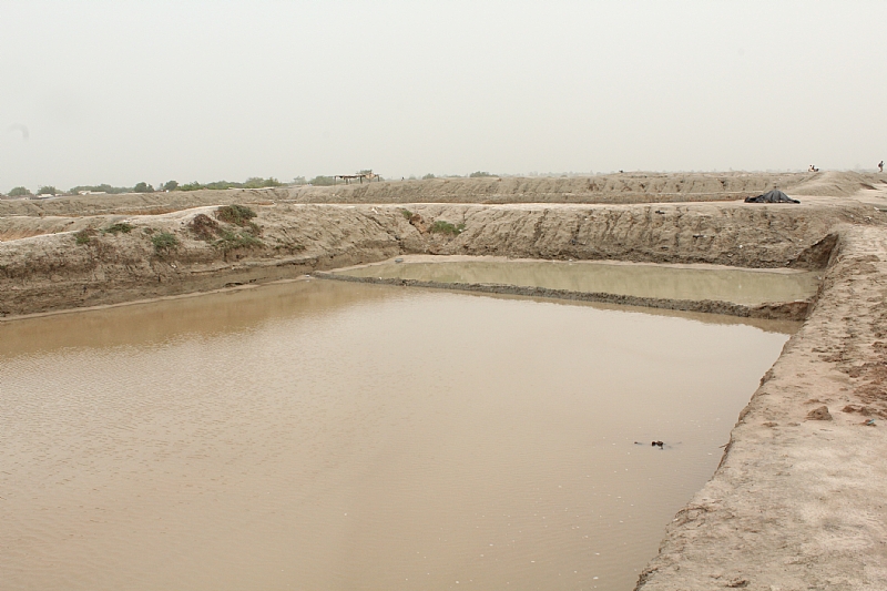 Songor Lagoon Under Threat