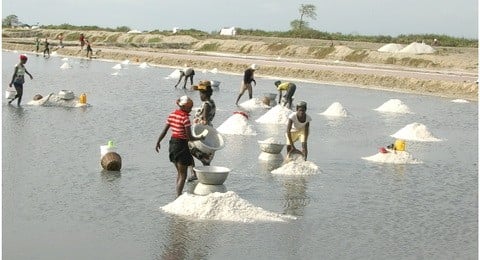 Salt: Multi-billion dollar resource untapped