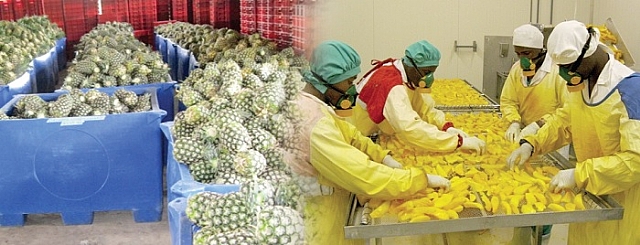 Fruit processing companies look offshore for fruits