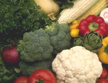 College of Agric challenged to explore Genetically Modified crops