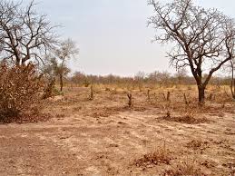 Ghana To Mark World Desertification And Drought Day In U/E