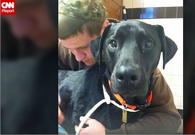 Man leaves $1,000 tip for dog's surgery