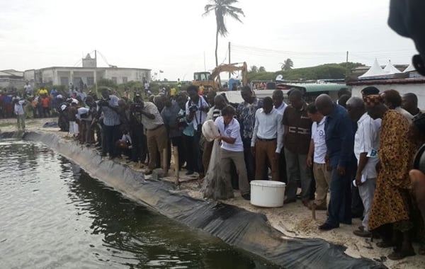 Mahama commissions shrimp farming project in Ada