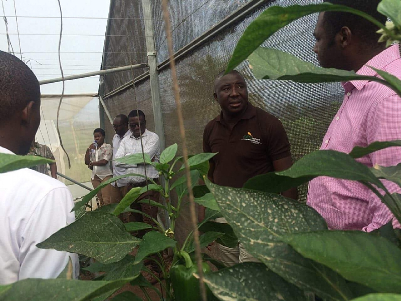 Skills Development Program For Youth In Agriculture To Be Launched In Accra