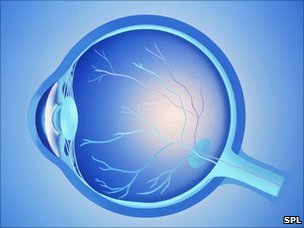 Lab made cornea offers new hope for restored vision