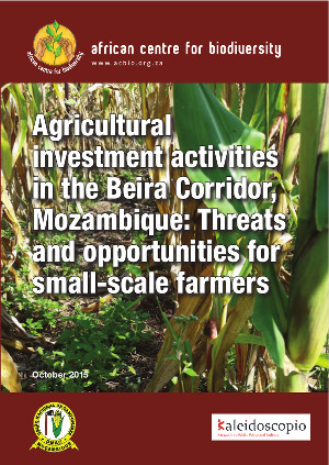 Investments In The Beira Corridor In Mozambique: Threats To Far Mers ...