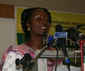 Sherry Ayittey assumes office