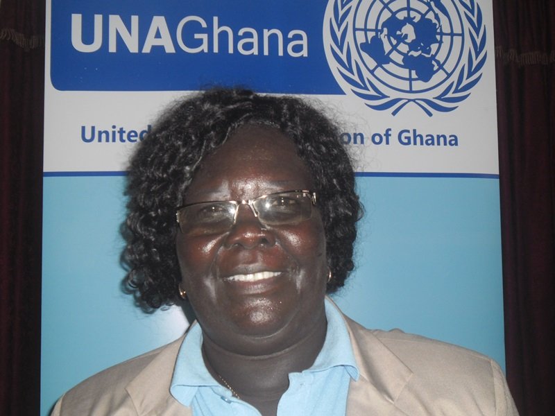 70th UN anniversary launched