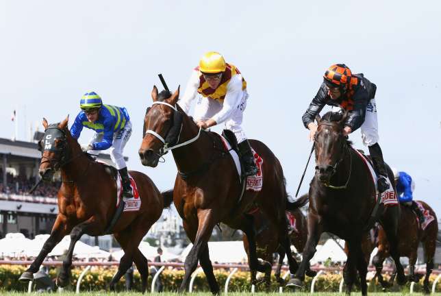 Horse race: Preferment wins Victoria Derby