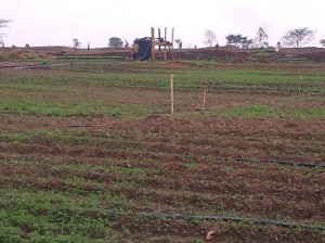 Akomadan Tomato Farmers Get A Boost … As Irrigation Dam Nears Completion